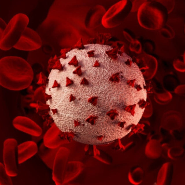 Bloodborne Pathogens Safety for Retail Staff in Canada - Online Course ...